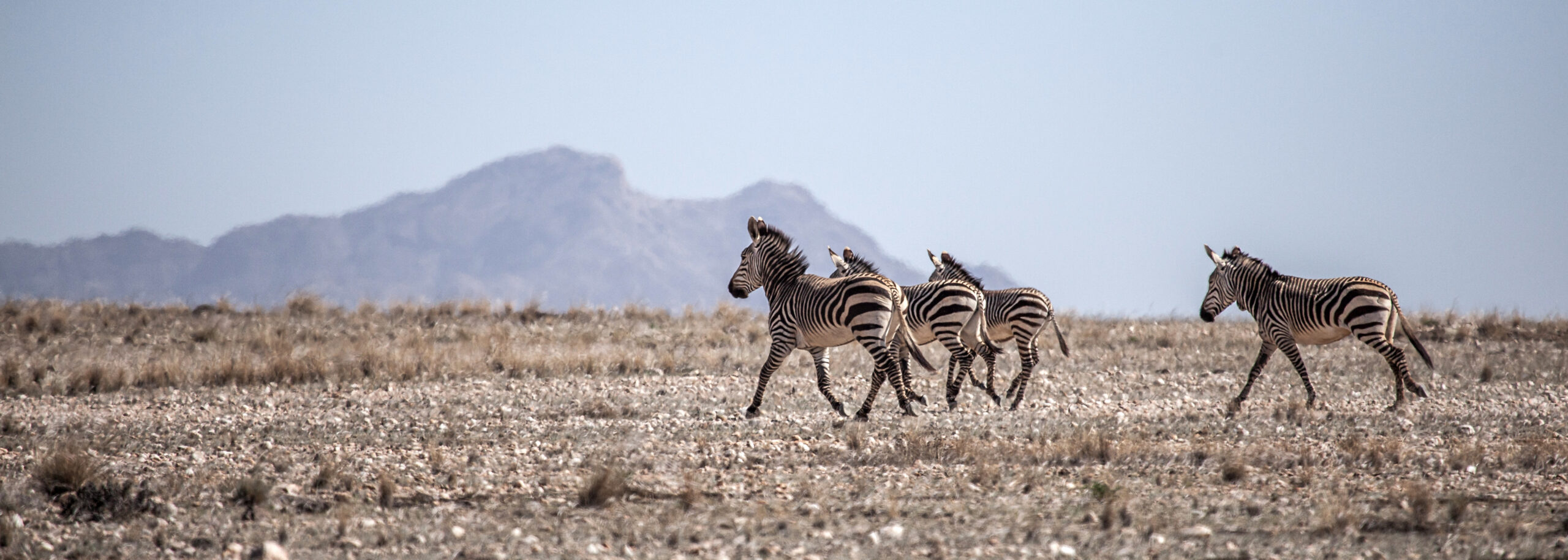 Namibia Photography of the Year Awards - this is namibia