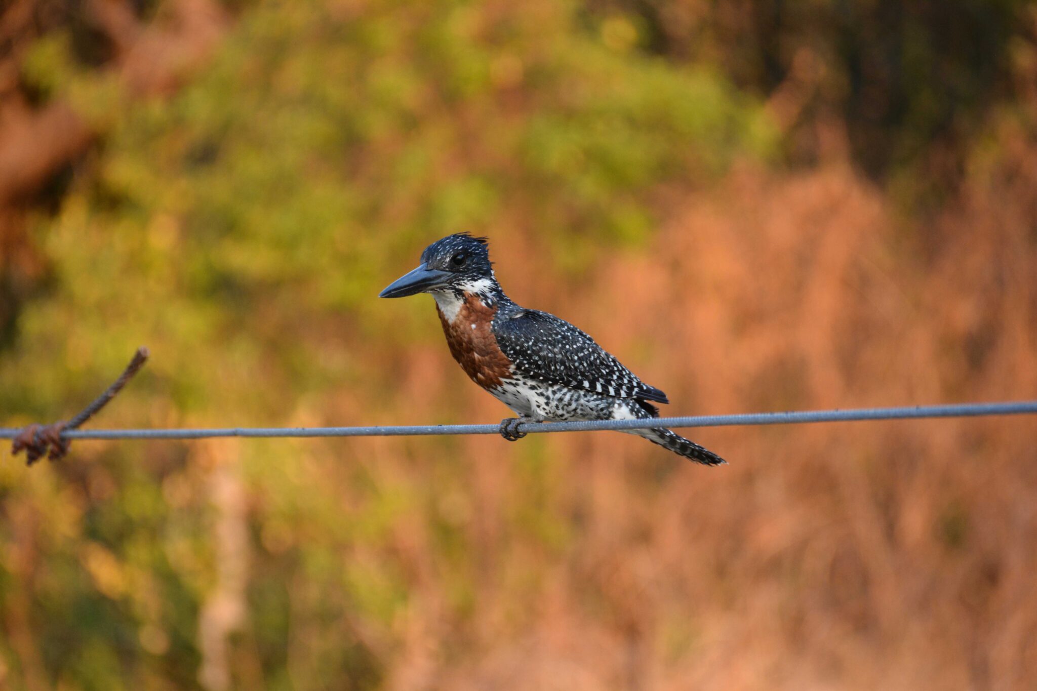 This is Namibia - your ultimate Namibian travel guide