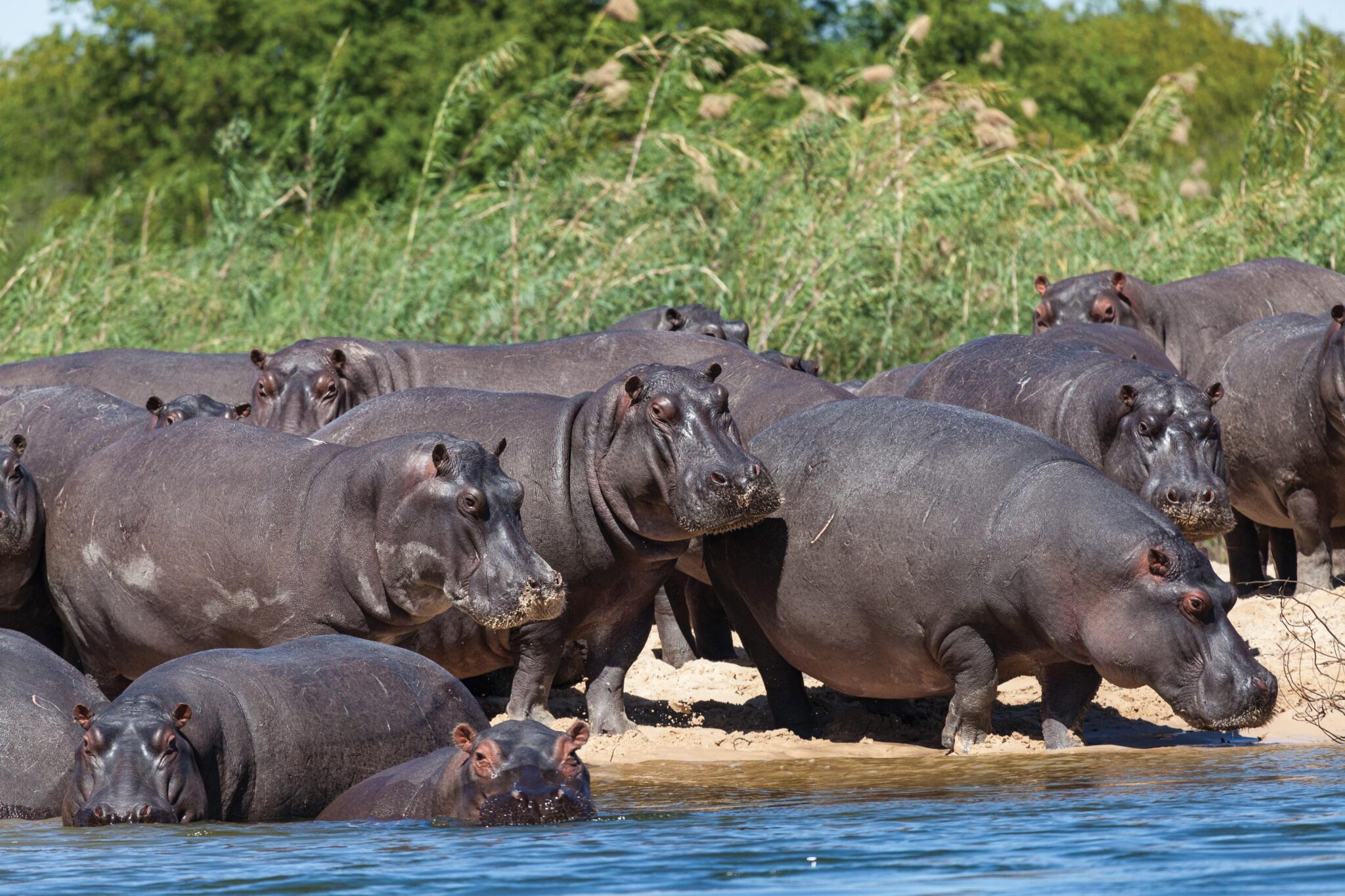 Kavango & Zambezi - this is namibia